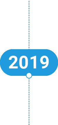 About Us | RingZero Networks