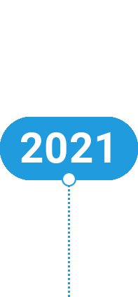 About Us | RingZero Networks